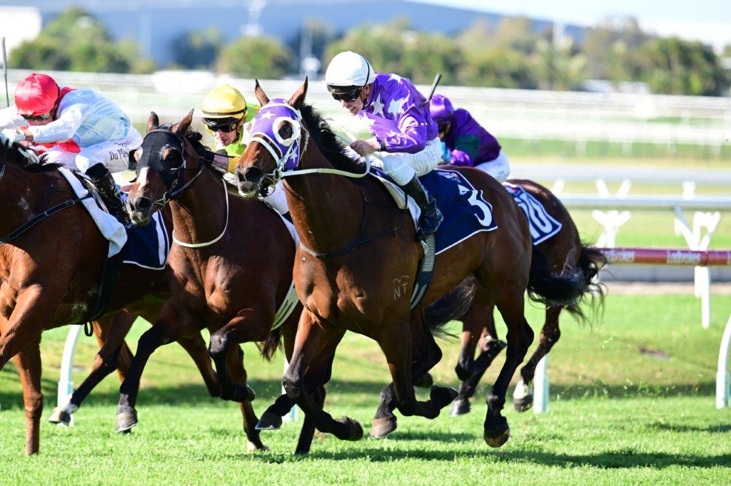 An interstate metro double for our purple and white stars - Star Collection