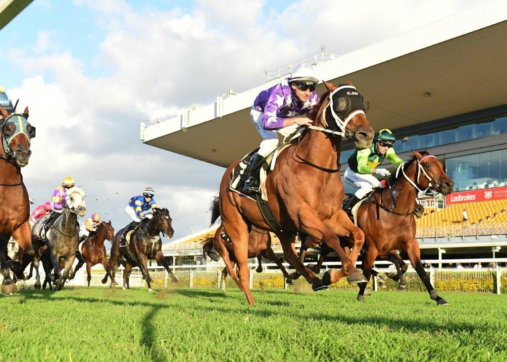 An interstate double for our purple and white stars - Star Collection